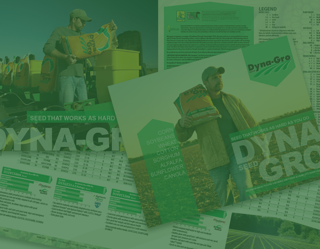 Catalog - Blooming B