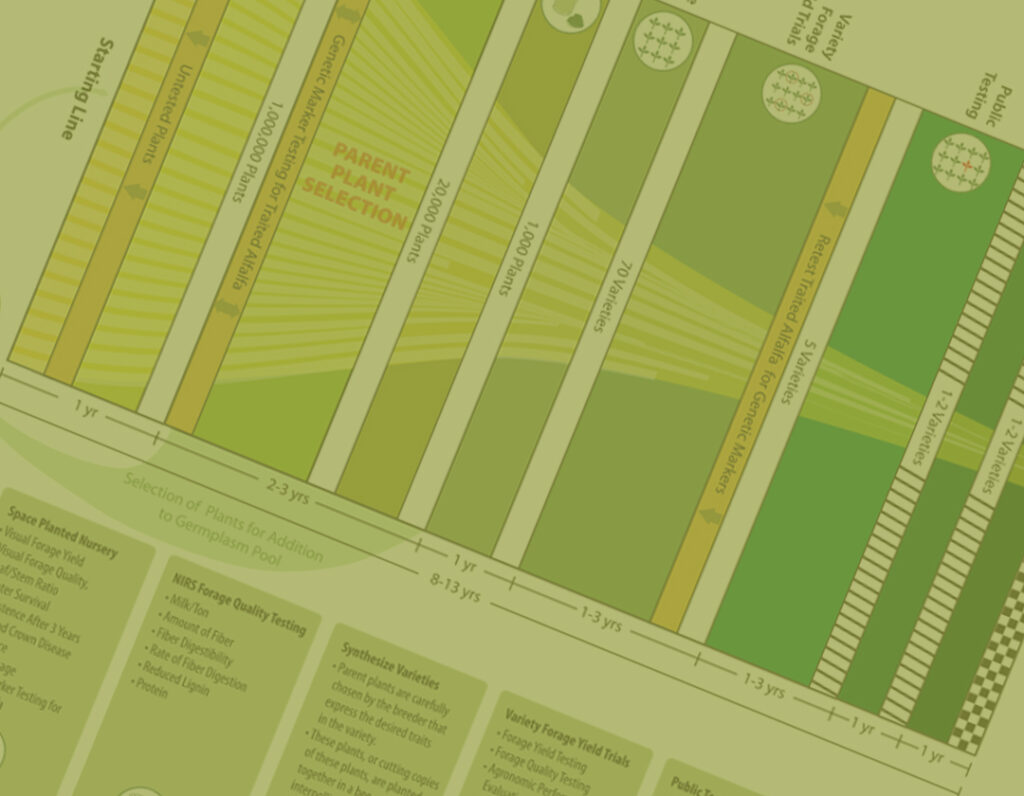 Harvest of the Month Program - Blooming B