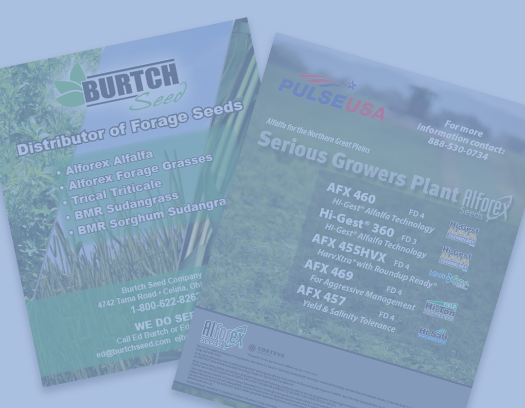 Print Ads - Blooming B